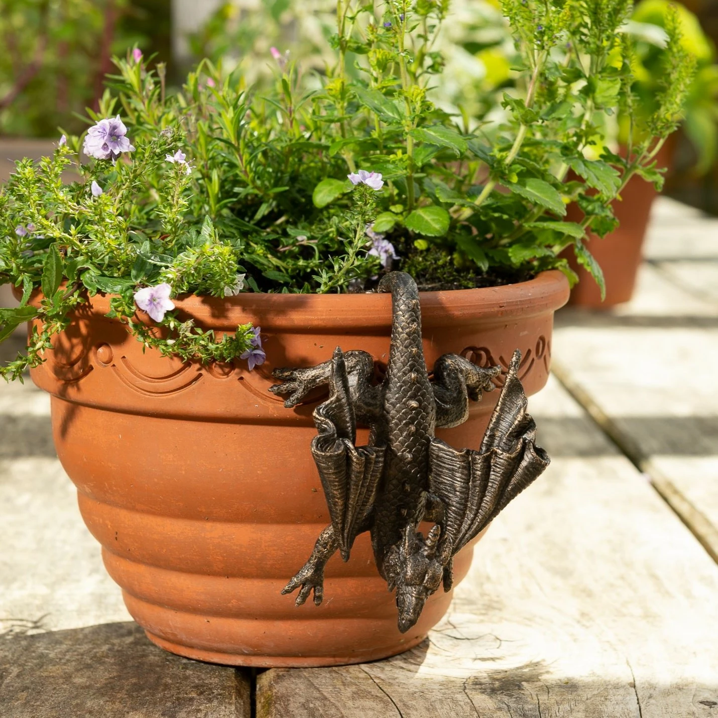Dragon Pot Buddy - Cowell's Garden Centre | Woolsington