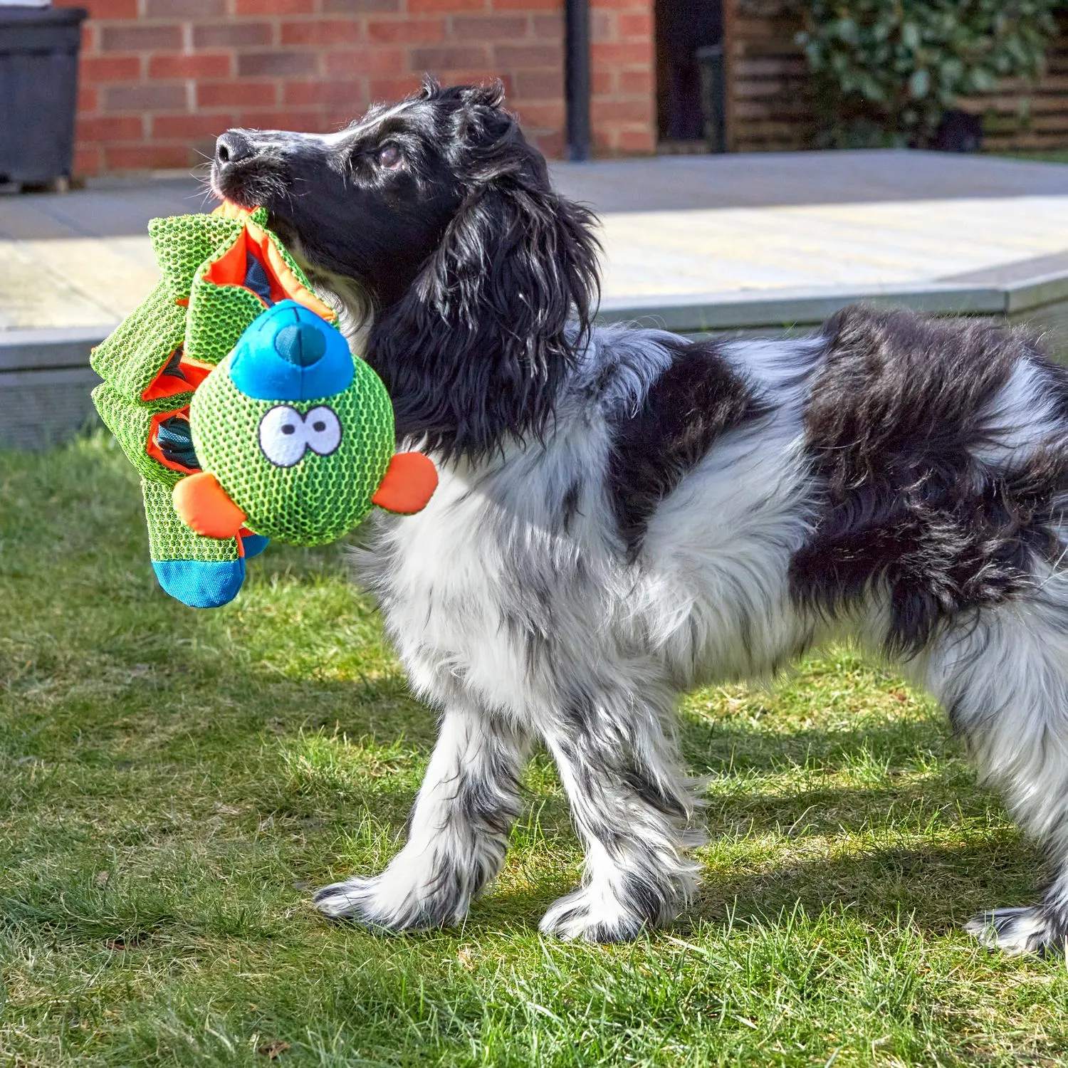 Durable Bear Dog Toy - Cowell's Garden Centre | Woolsington