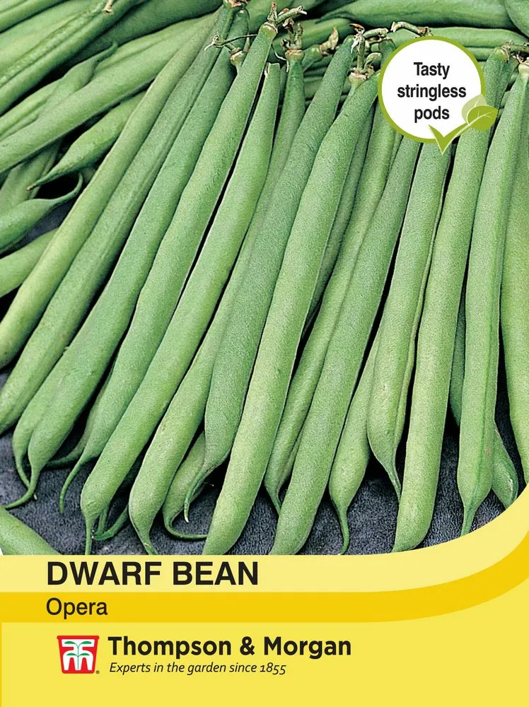 Dwarf Bean Opera - Cowell's Garden Centre | Woolsington
