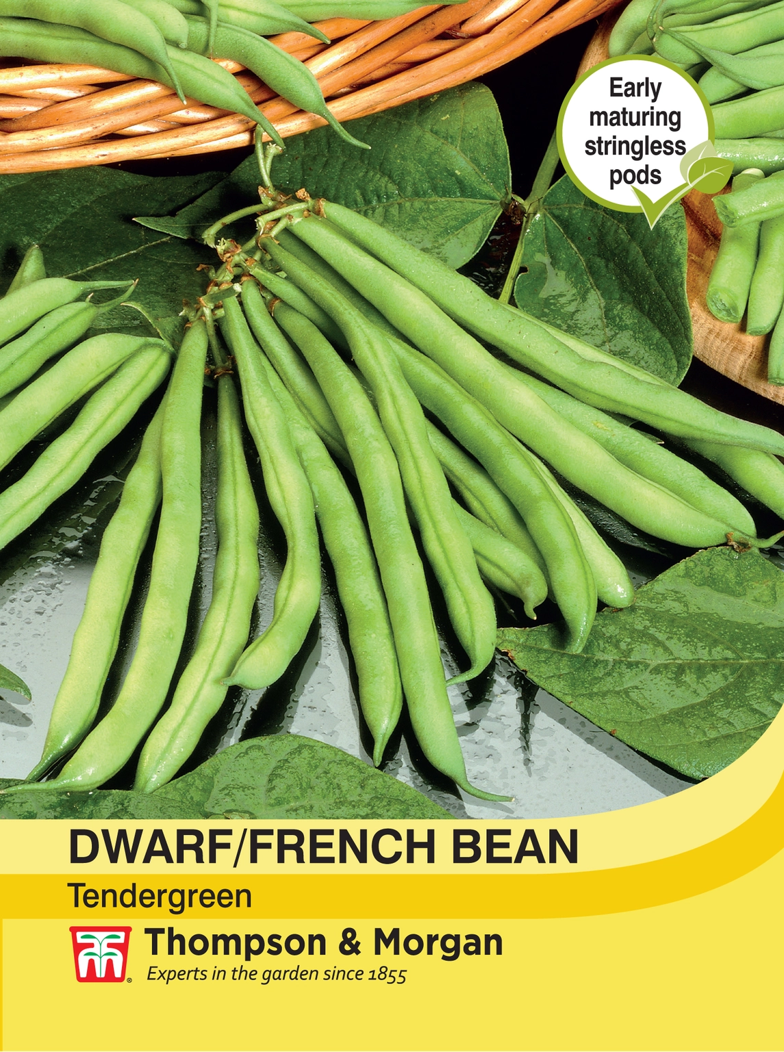 Dwarf Bean Tendergreen - Cowell's Garden Centre | Woolsington
