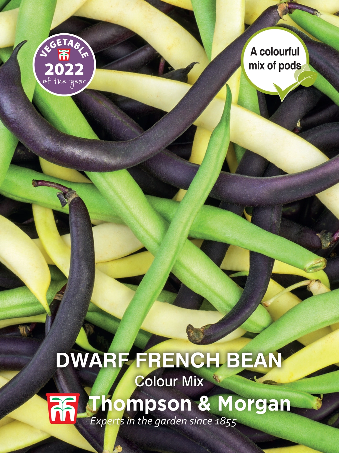 Dwarf French Bean Colour Mix - Cowell's Garden Centre | Woolsington