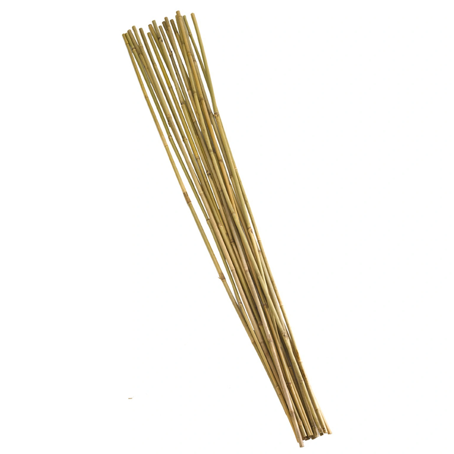 Extra Thick Bamboo Cane Bundle - 150cm - Cowell's Garden Centre ...