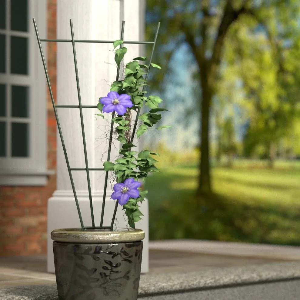Fan Pot Trellis - Cowell's Garden Centre | Woolsington