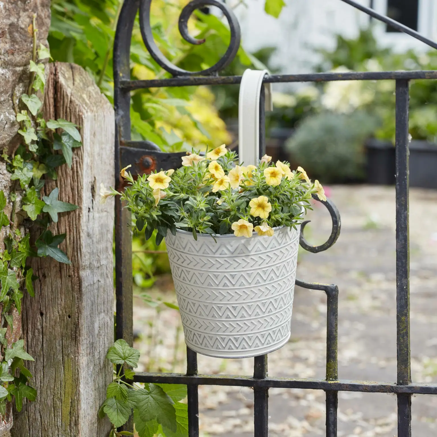 Fence & Balcony Aztec Hanging Pot - Ivory - Cowell's Garden Centre ...