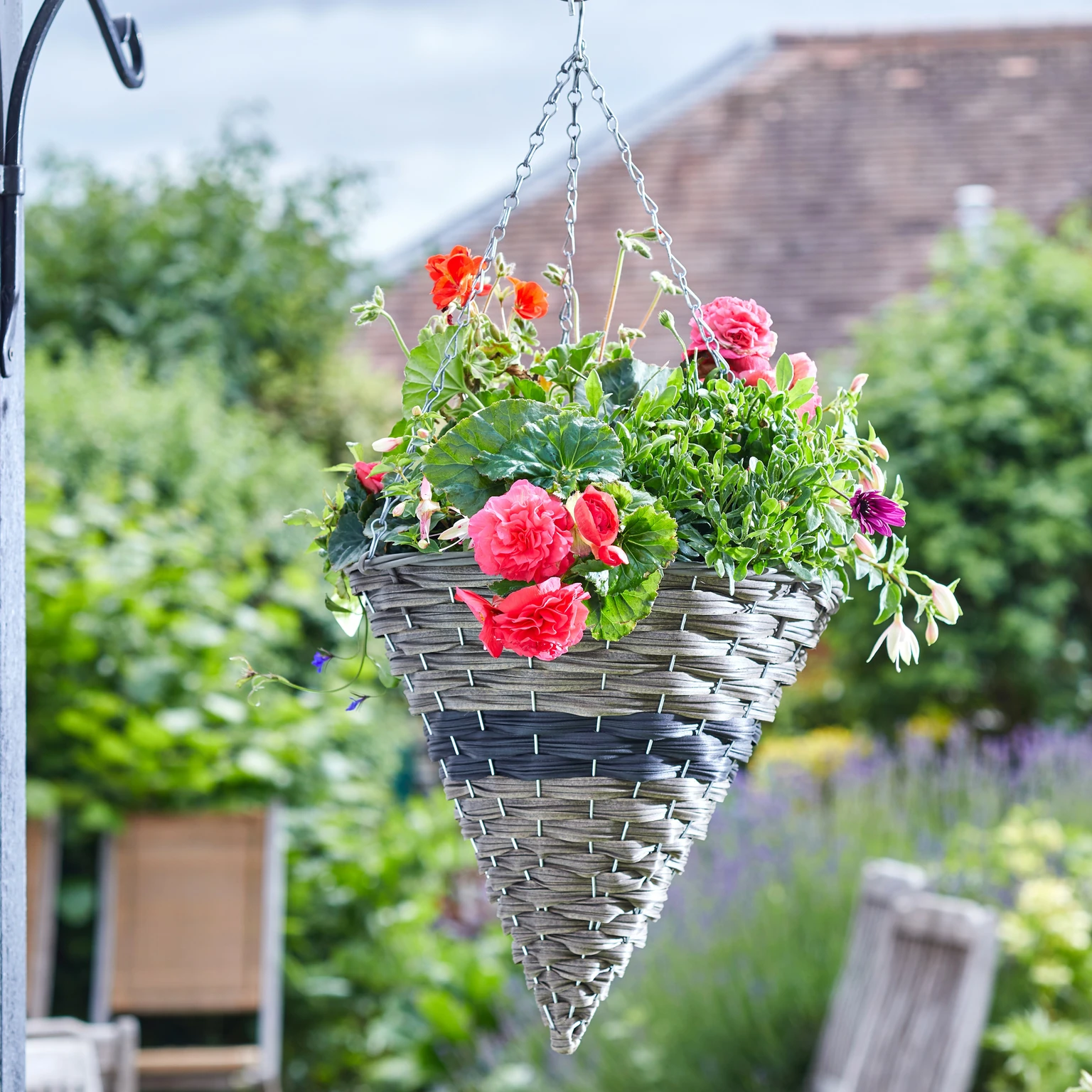 Firenze Hanging Cone - Cowell's Garden Centre | Woolsington