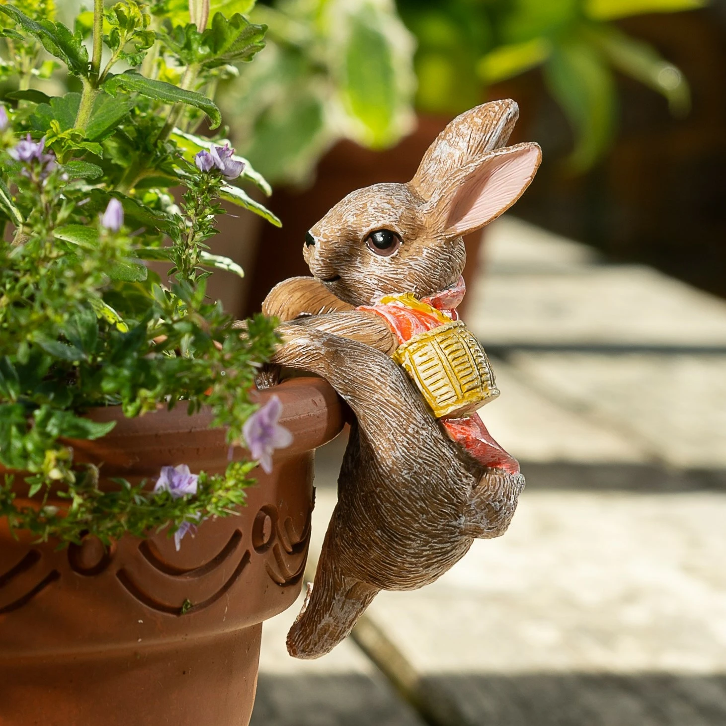 Flopsy Rabbit Pot Buddy - Cowell's Garden Centre | Woolsington