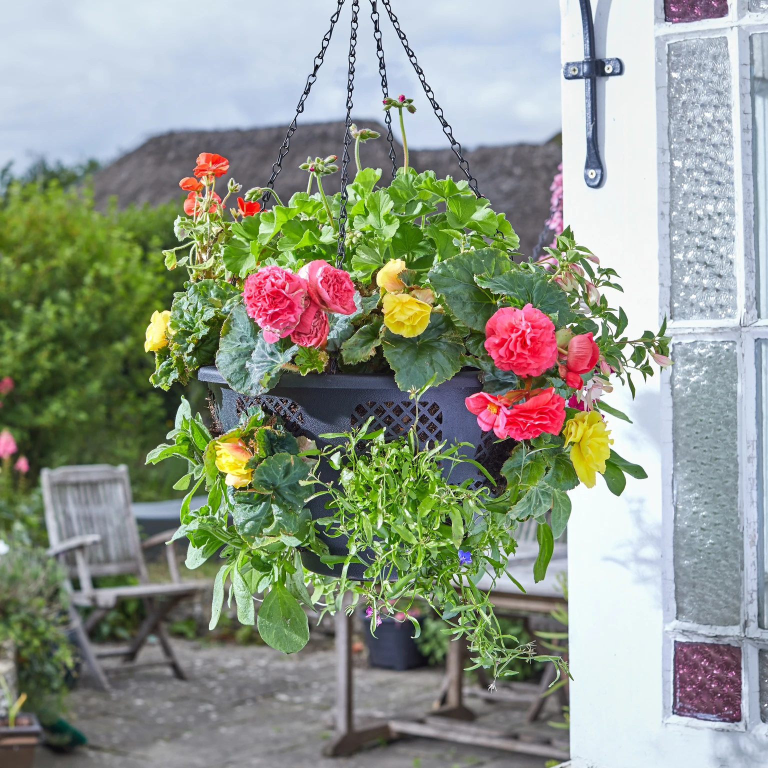 FlowerPro Cut Out Hanging Basket - Cowell's Garden Centre | Woolsington