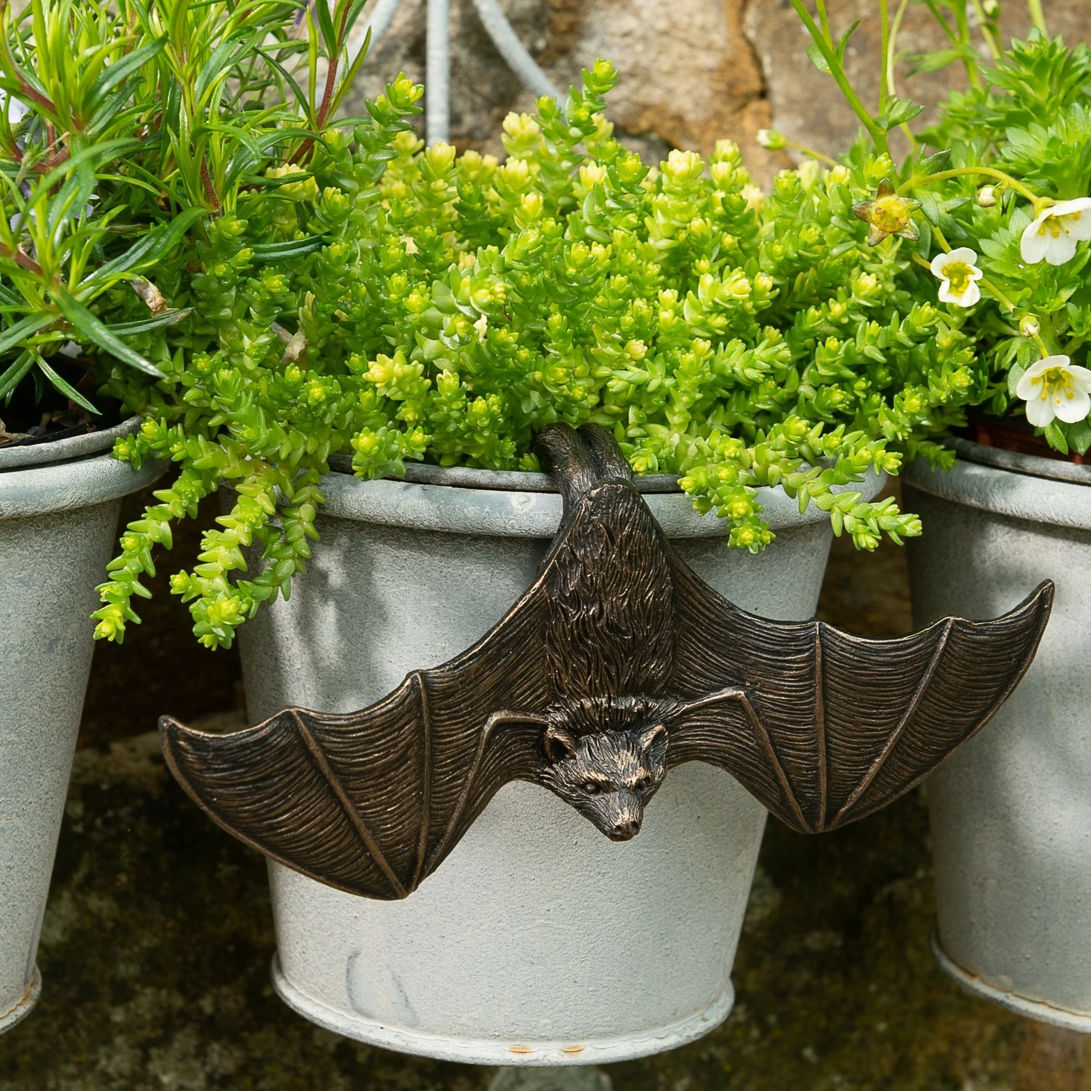 Flying Bat Pot Buddy - Cowell's Garden Centre | Woolsington