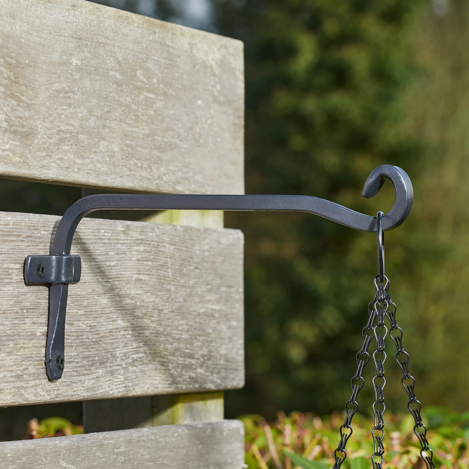 Forge Square Wall Hook - 20cm - Cowell's Garden Centre | Woolsington