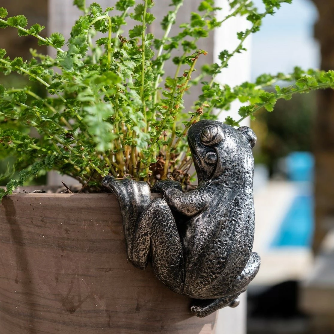 Frog Pot Buddy - Cowell's Garden Centre | Woolsington