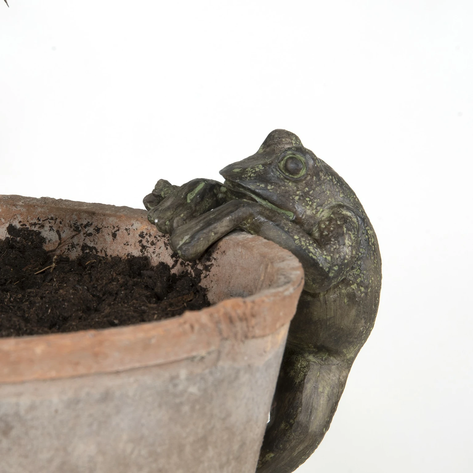 Frog Pot Hanger - Cowell's Garden Centre | Woolsington