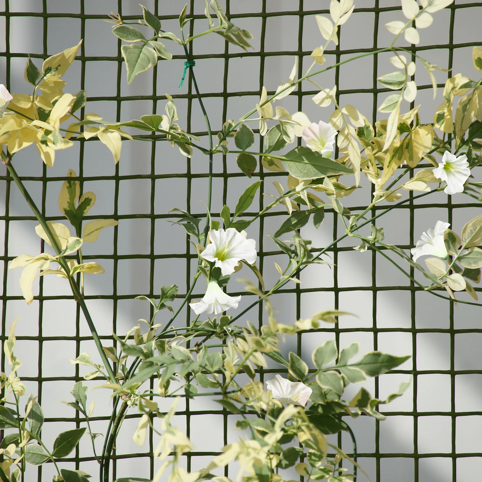 General Purpose Green Garden Mesh - 1m x 5m - Cowell's Garden Centre ...