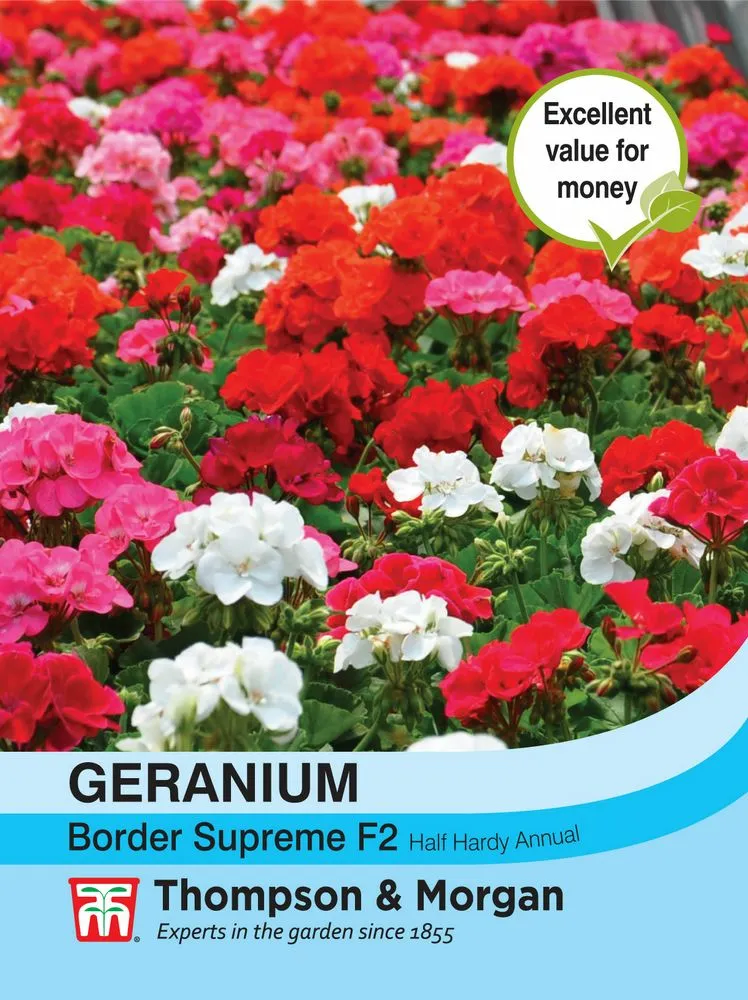Geranium Border Supreme F2 Seeds - Cowell's Garden Centre | Woolsington