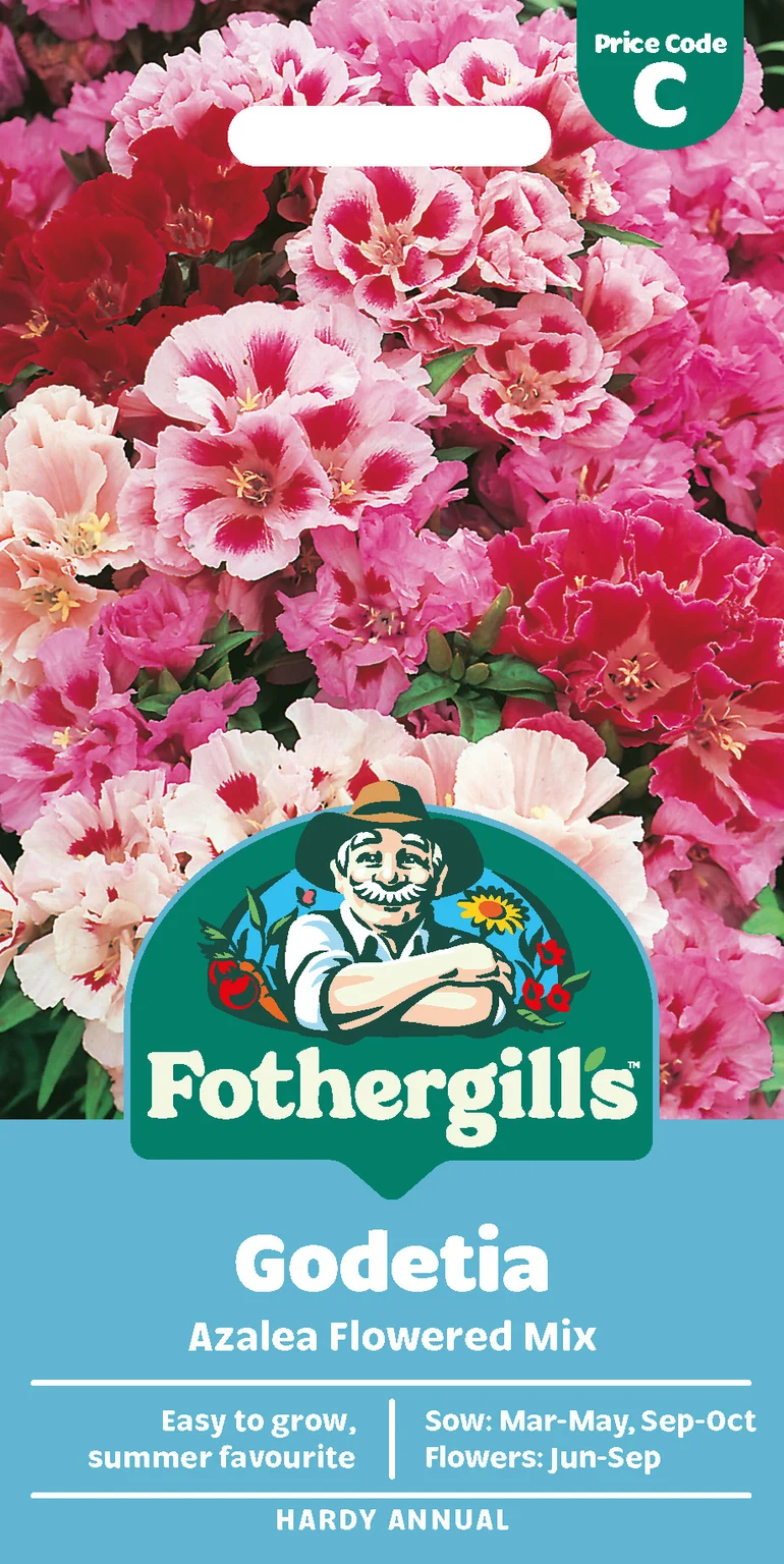Godetia Azalea Flowered Mixed Seeds - Cowell's Garden Centre | Woolsington