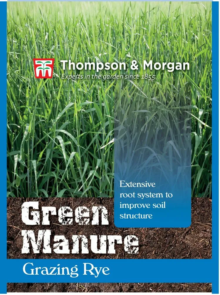 Green Manure Grazing Rye - Cowell's Garden Centre | Woolsington