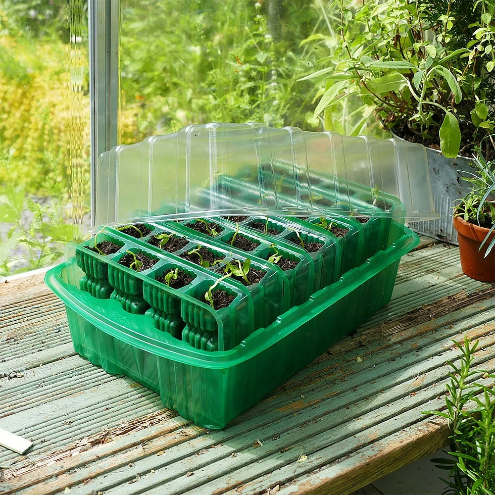 Gro-Sure Visiroot Deep Cell Tray Kit - Cowell's Garden Centre | Woolsington