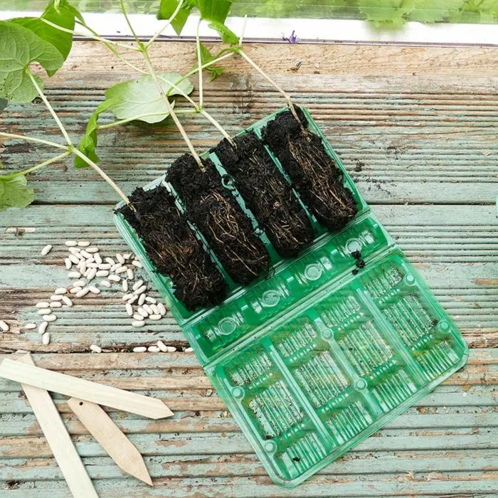 Gro-Sure Visiroot Deep Cell Trays - Cowell's Garden Centre | Woolsington