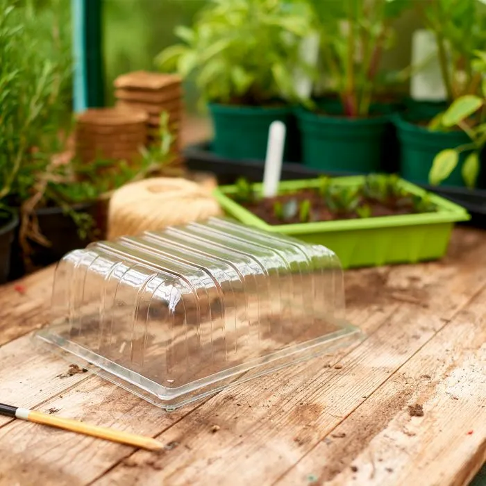 Gro-Sure Visiroot Half Seed Tray Lid - Cowell's Garden Centre | Woolsington