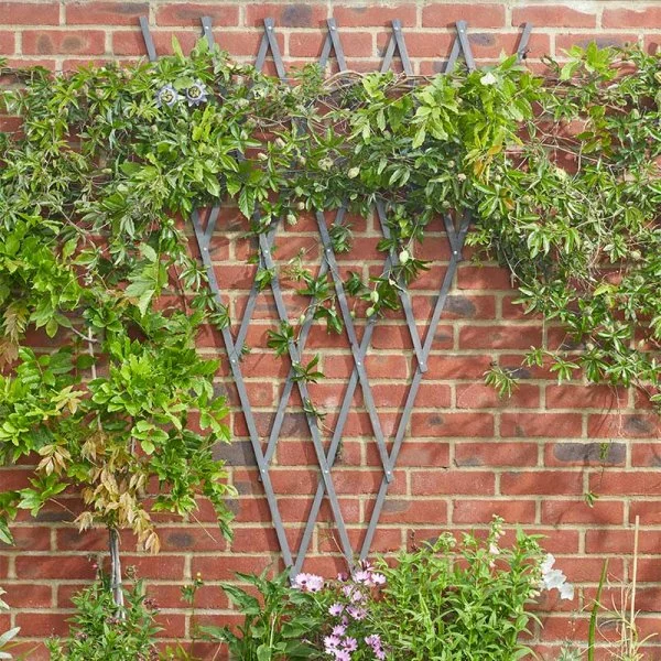 Heavy Duty Expanding Fan Trellis - Slate - Cowell's Garden Centre ...