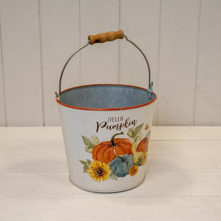 Hello Pumpkin Decorative Bucket - Small - Cowell's Garden Centre ...