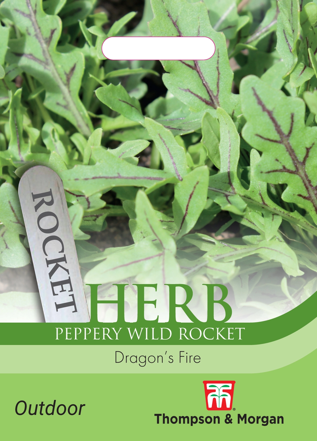 Herb Wild Rocket Dragons Fire - Cowell's Garden Centre | Woolsington
