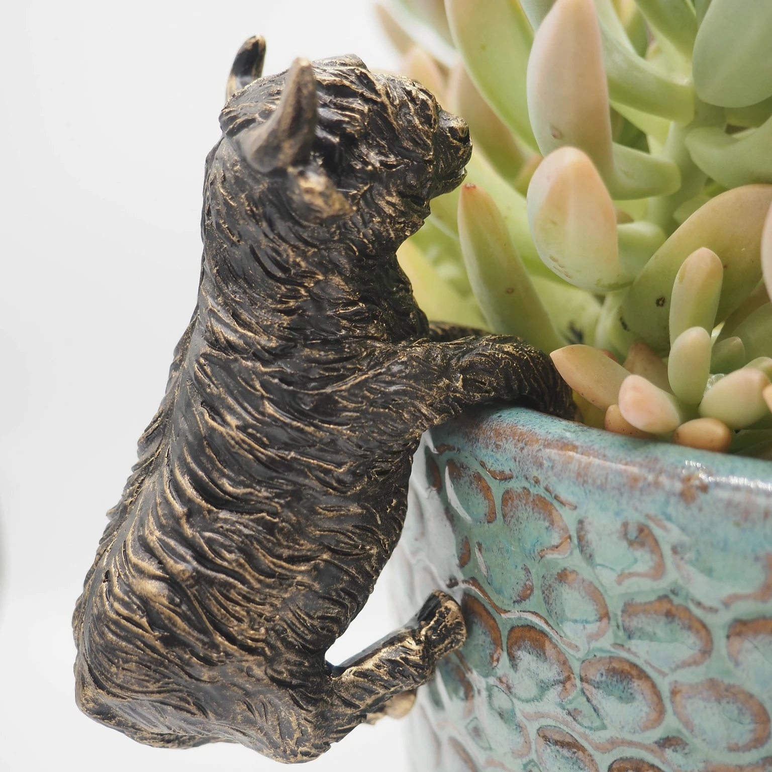 Highland Cow Pot Buddy - Cowell's Garden Centre | Woolsington