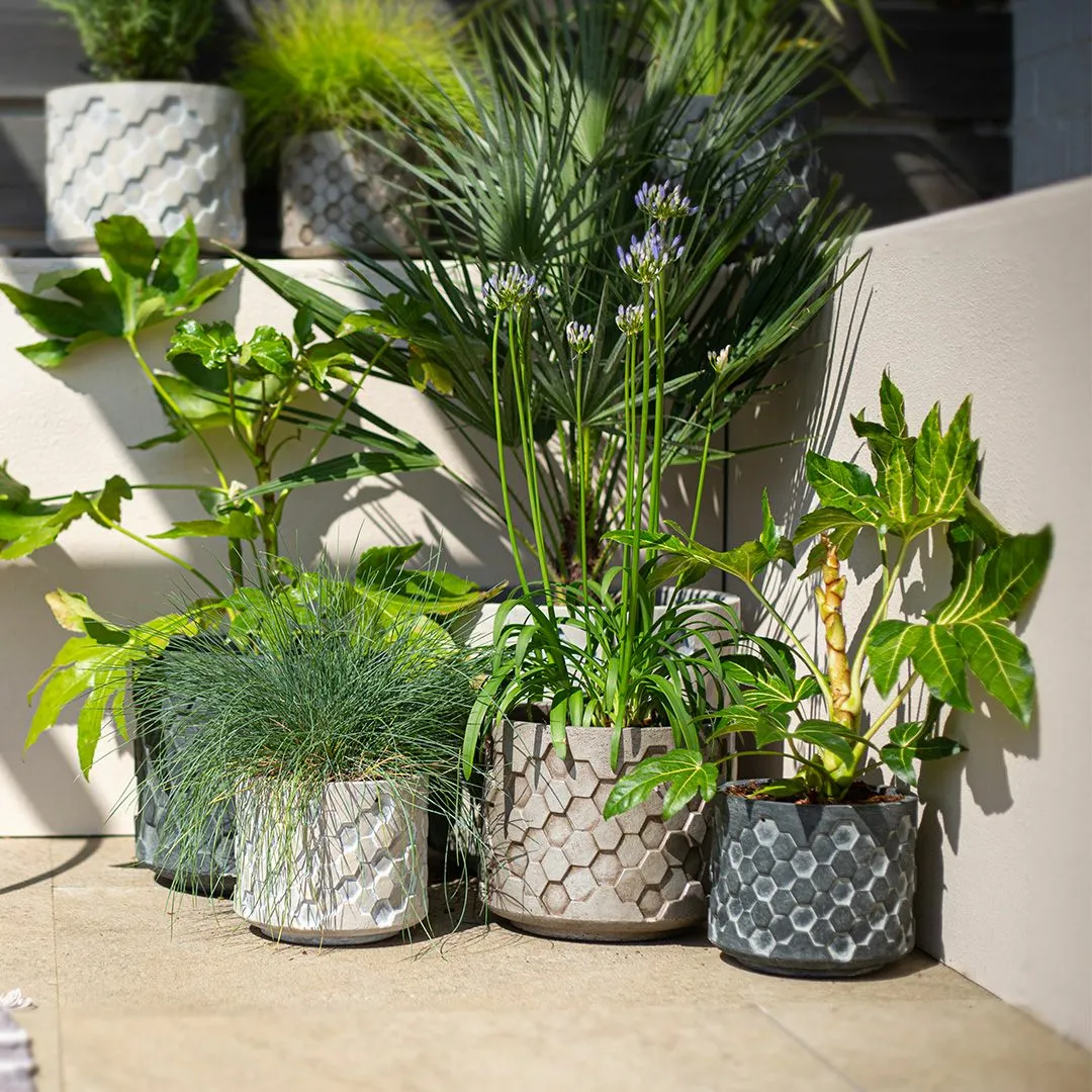 Hive Cylinder Pot Ø19cm - Cowell's Garden Centre | Woolsington