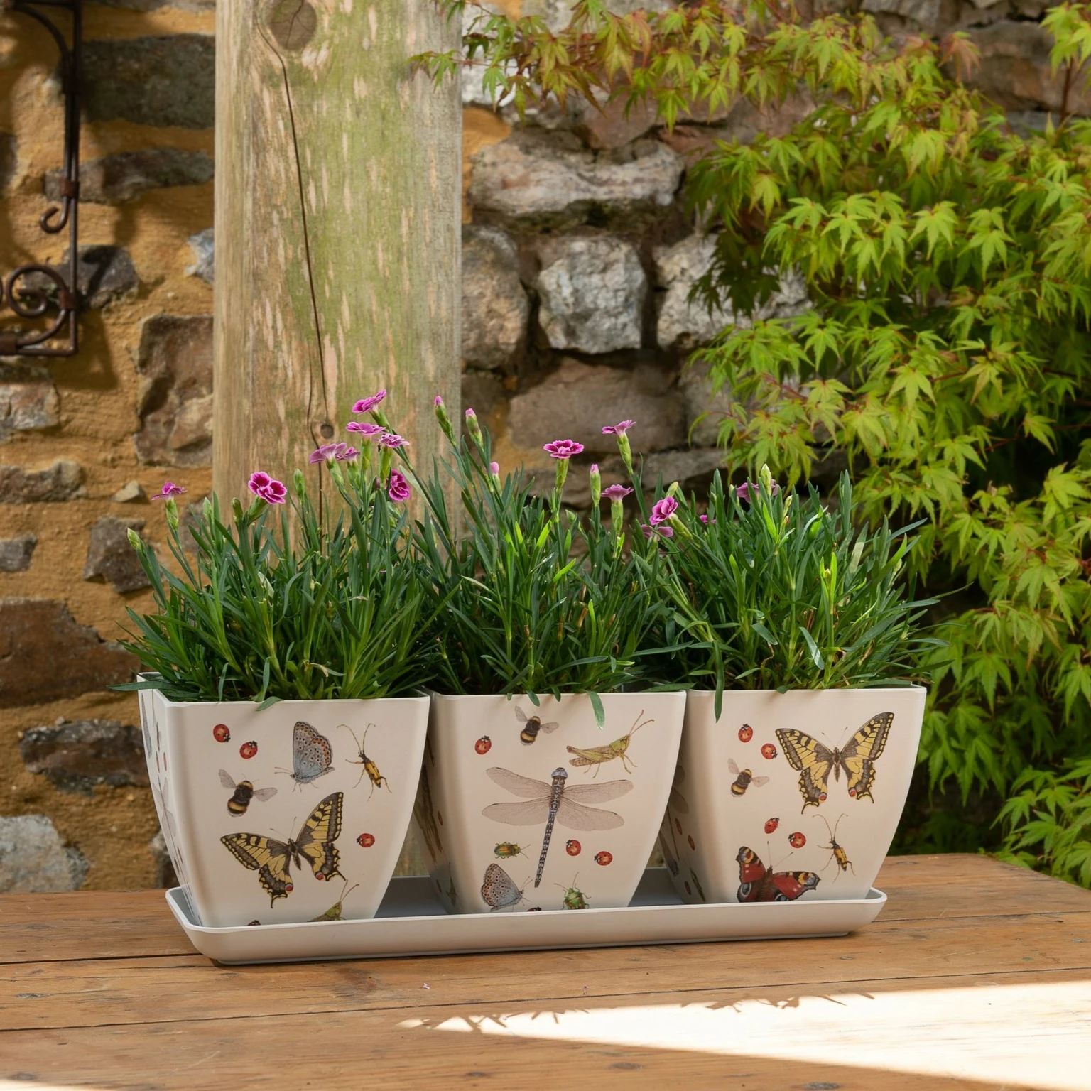 Insect Eco Pot Set - Cowell's Garden Centre | Woolsington