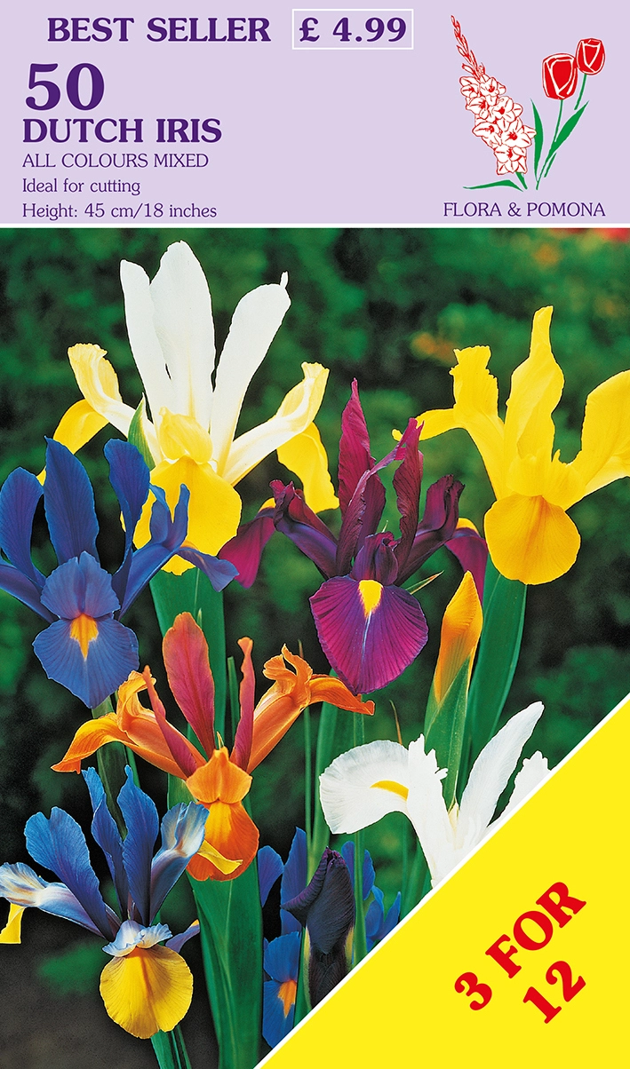 Iris Dutch Mix - Cowell's Garden Centre | Woolsington