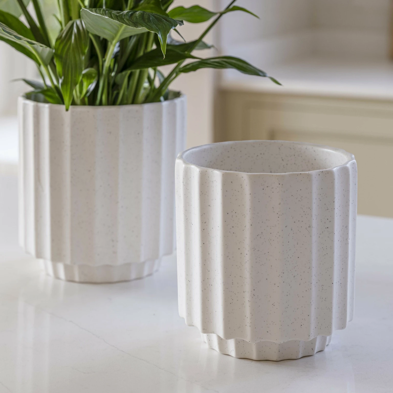 Ivyline Bourton Ivory Planter - Large - Cowell's Garden Centre ...