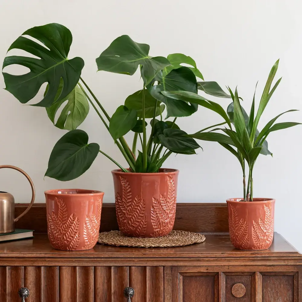 Ivyline Kew Fern Rust Planter 21cm - Cowell's Garden Centre | Woolsington