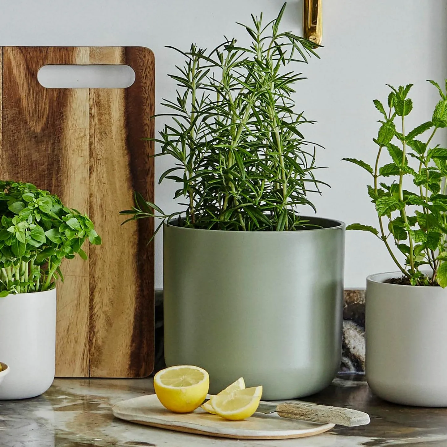 Ivyline Lisbon Sage Planter Ø11cm - Cowell's Garden Centre | Woolsington