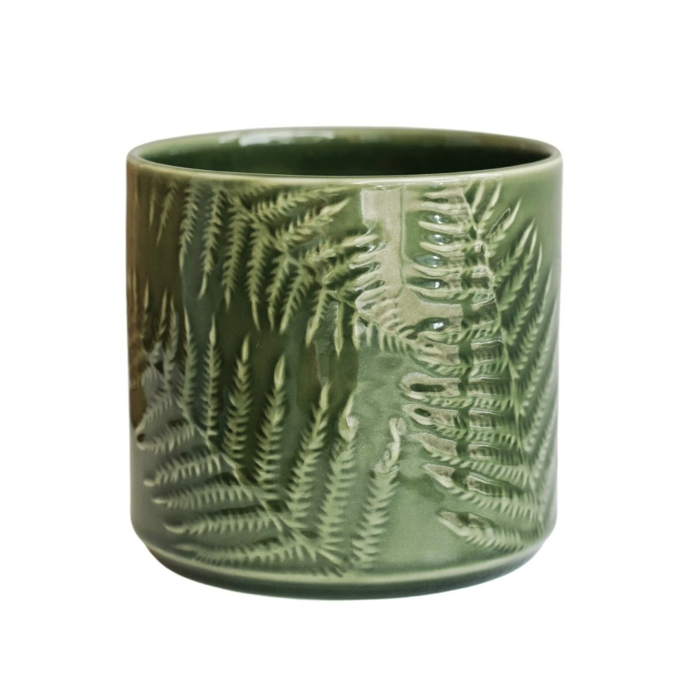 Ivyline Orla Green Fern Planter - Small - Cowell's Garden Centre ...
