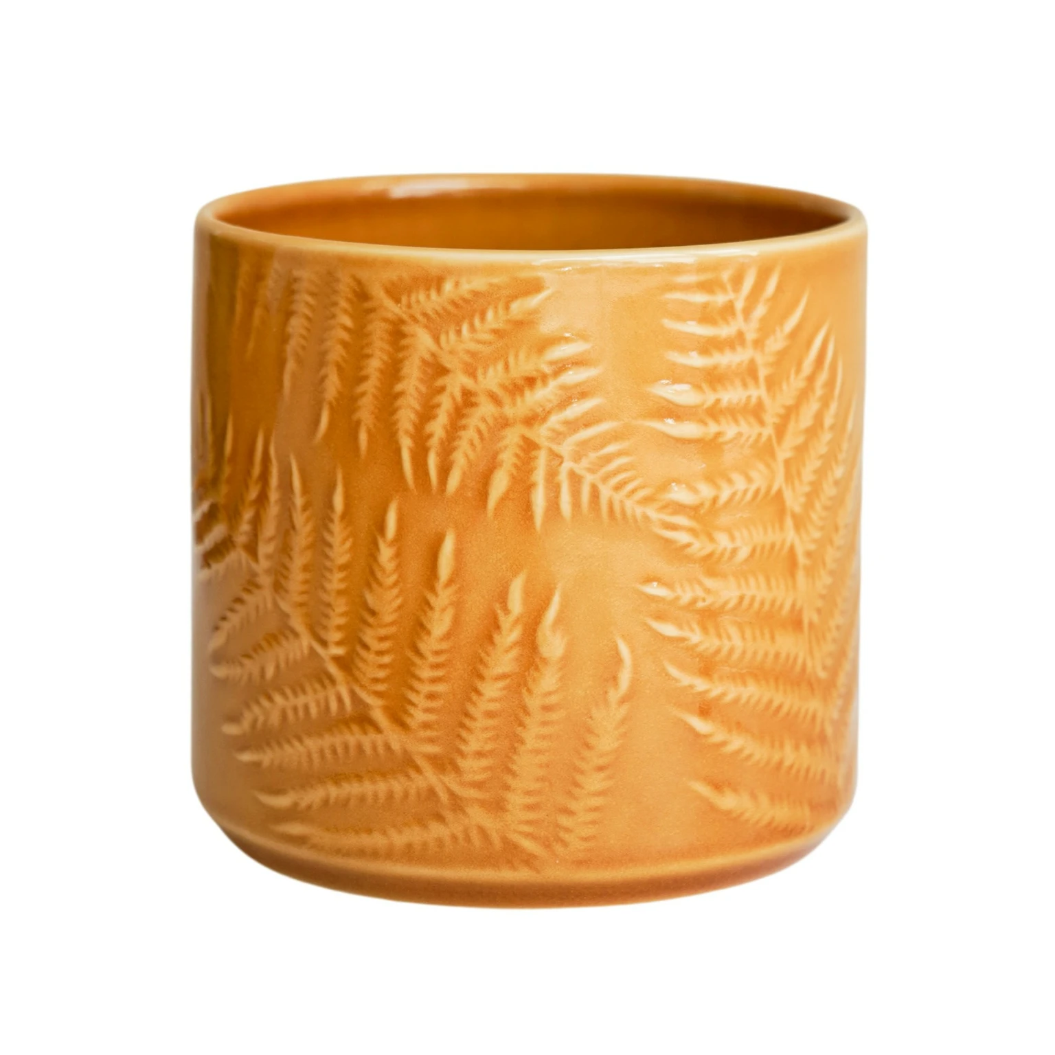 Ivyline Orla Mustard Fern Planter - Small - Cowell's Garden Centre ...