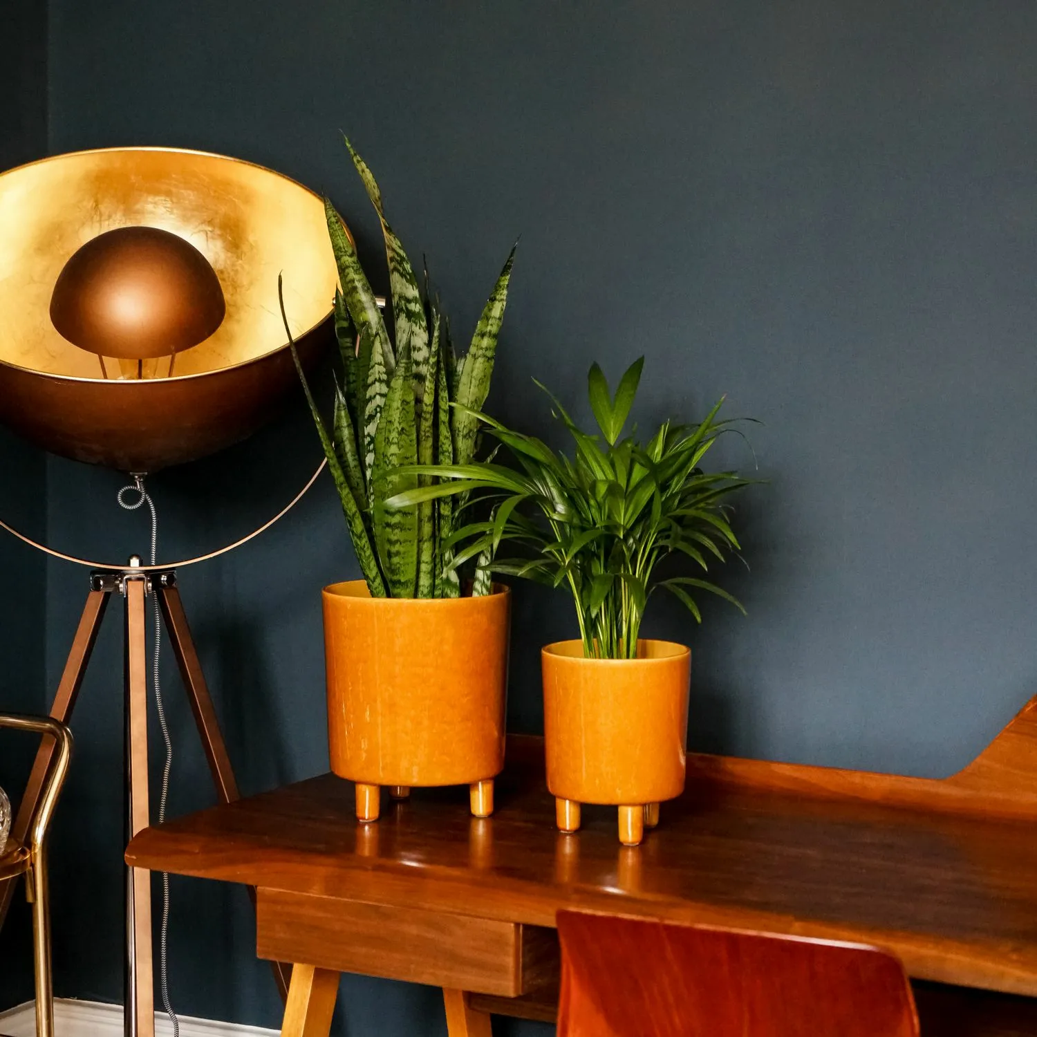 Ivyline Pisa Mustard Planter - Medium - Cowell's Garden Centre ...