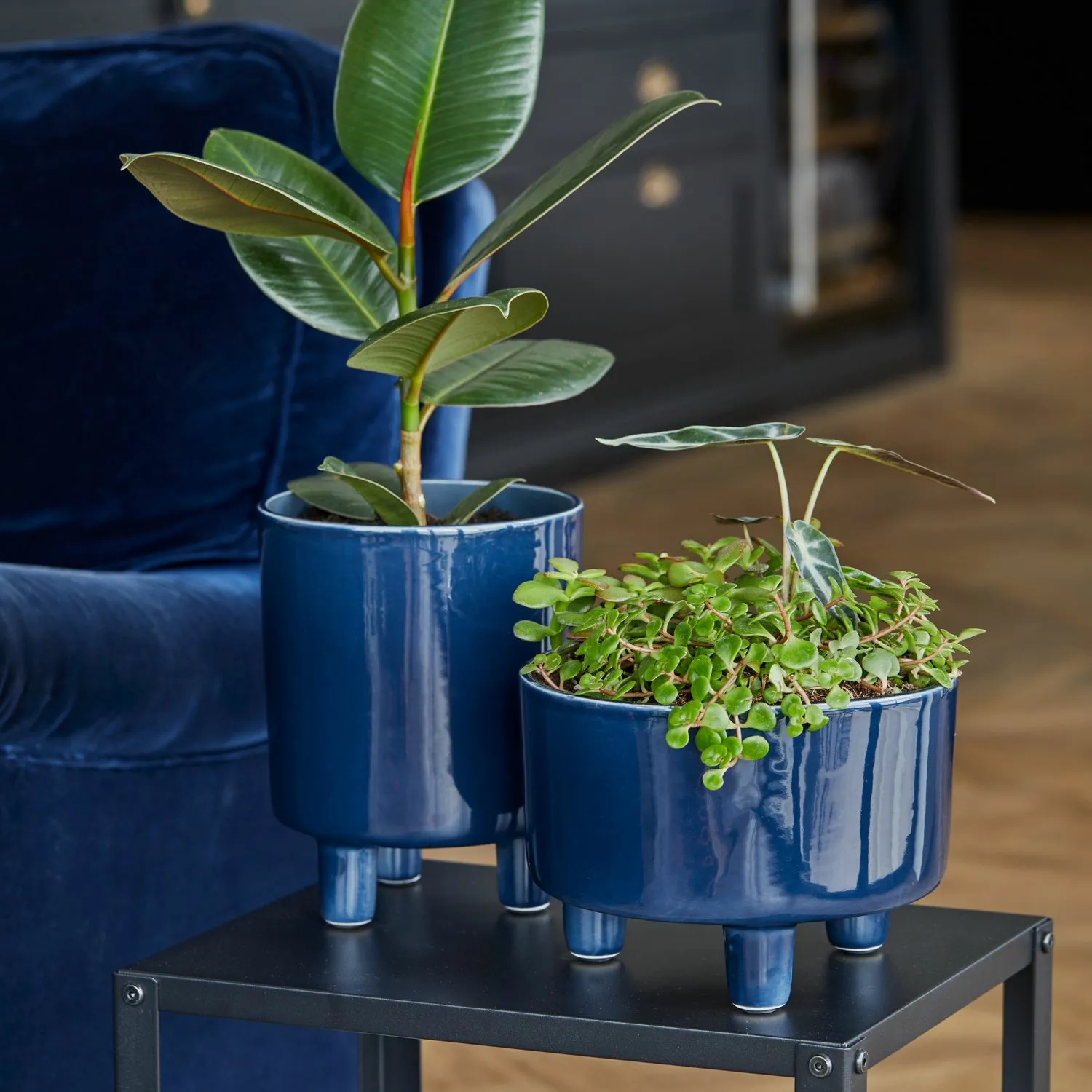 Ivyline Pisa Navy Planter - Medium - Cowell's Garden Centre | Woolsington