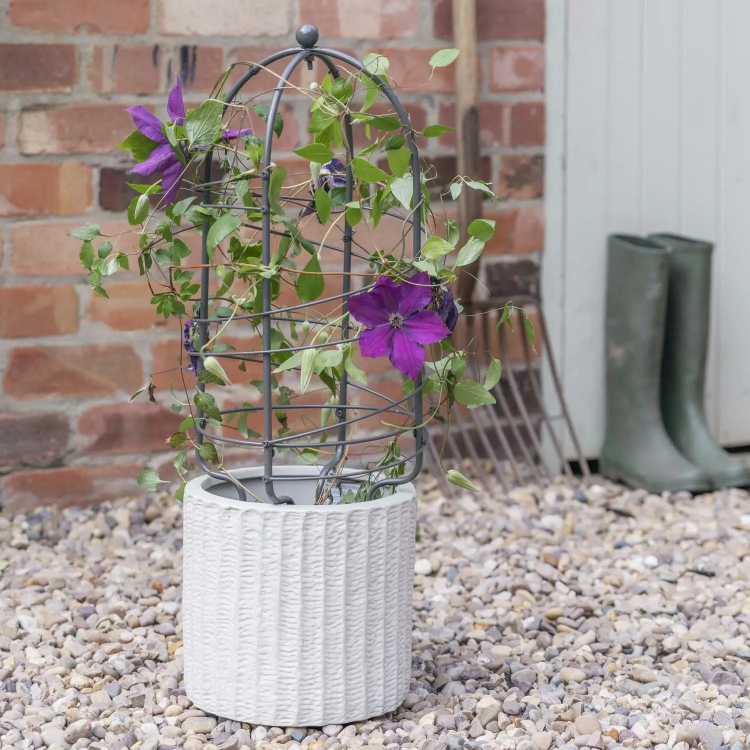 Ivyline Pot Plant Support Zinc - Large - Cowell's Garden Centre ...