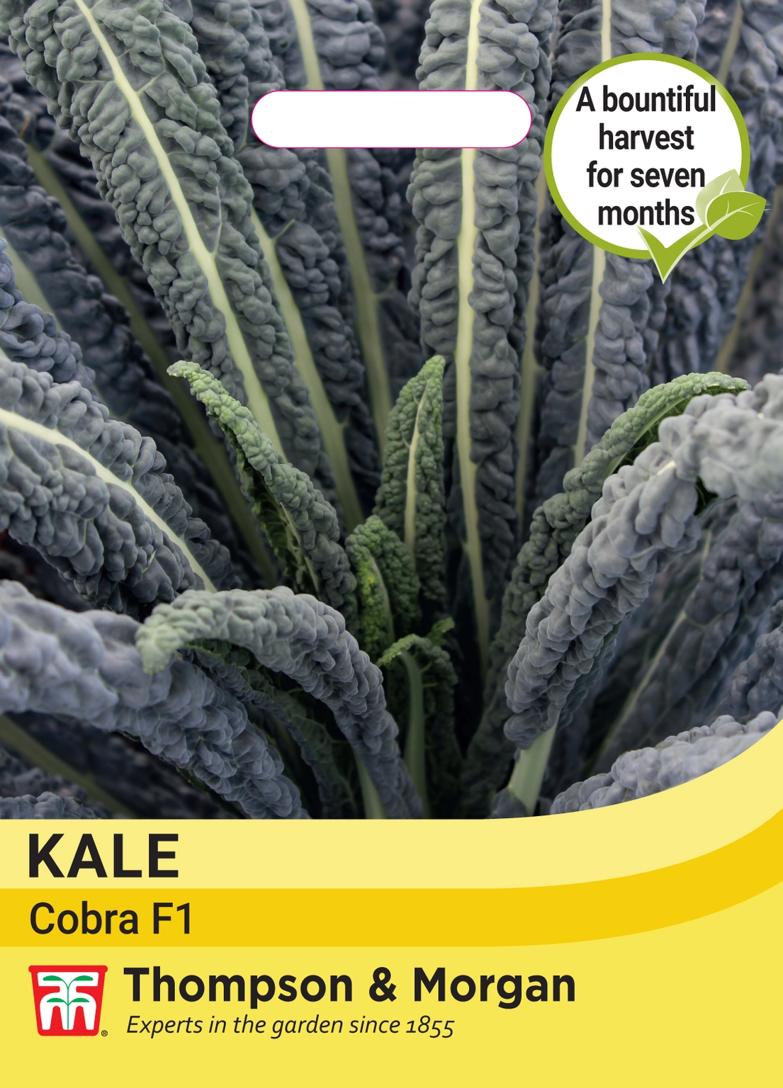 Kale Cobra F1 Seeds - Cowell's Garden Centre | Woolsington