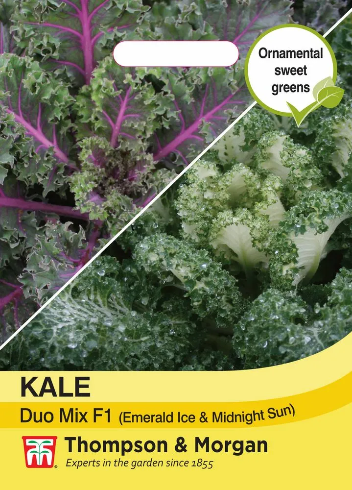 Kale Duo Mix (Emerald Ice & Midnight Sun) Seeds - Cowell's Garden ...