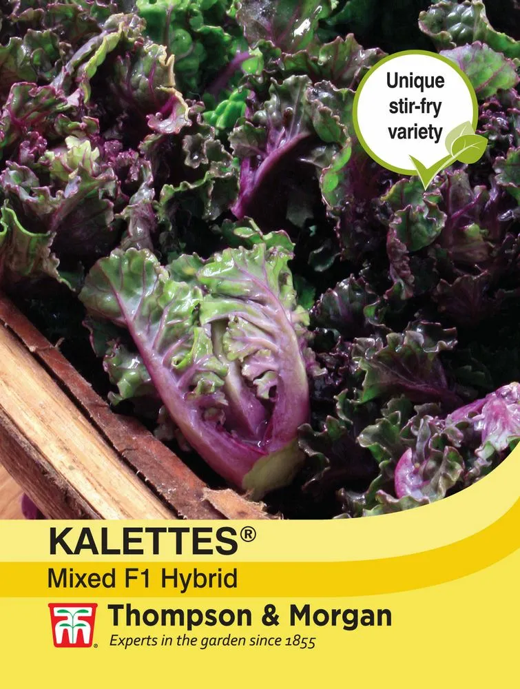 Kalettes Garden Mix F1 - Cowell's Garden Centre | Woolsington