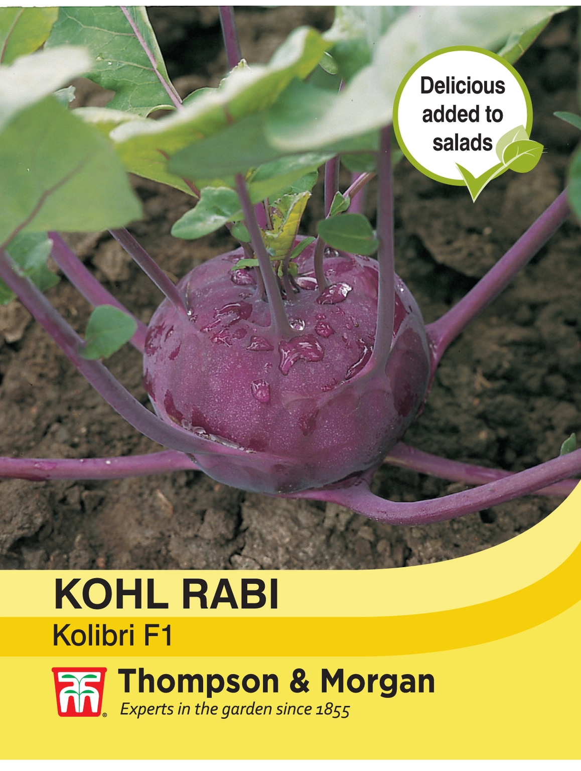 Kohl Rabi Kolibri F1 - Cowell's Garden Centre | Woolsington