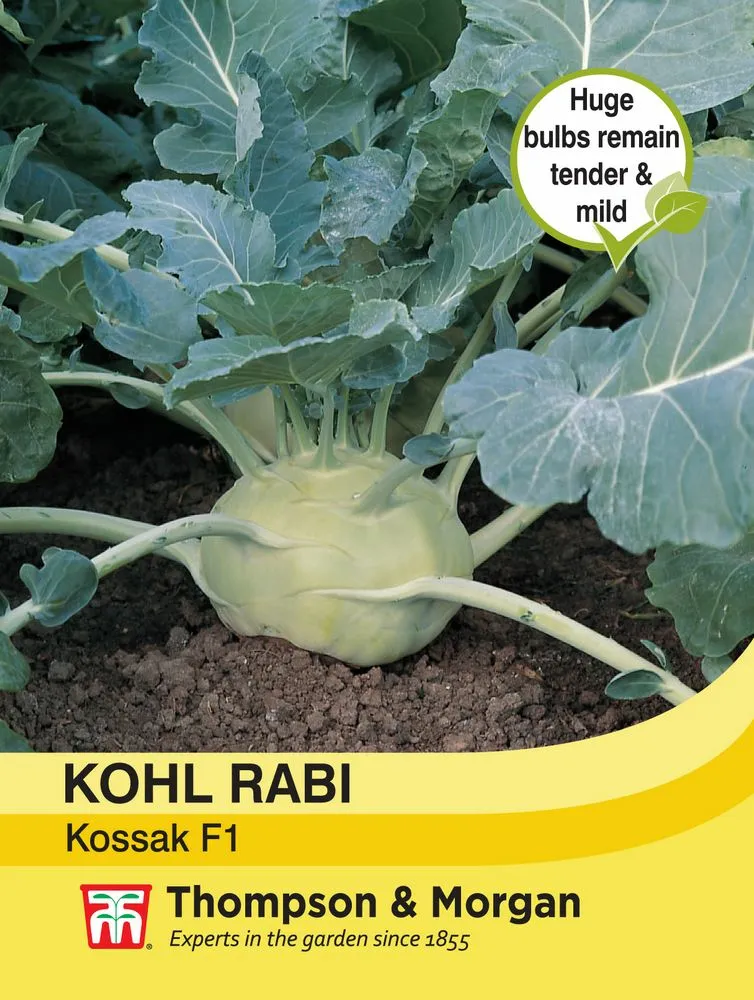 Kohl Rabi Kossak - Cowell's Garden Centre | Woolsington