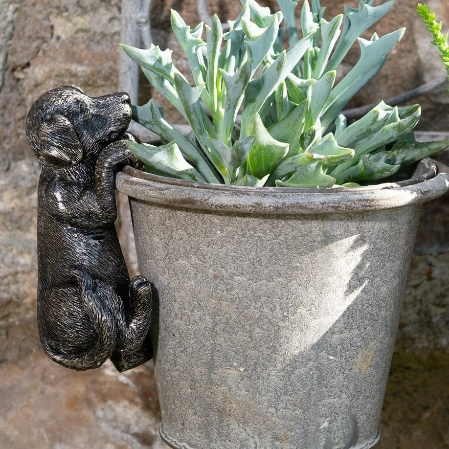 Labrador Pot Buddy - Cowell's Garden Centre | Woolsington