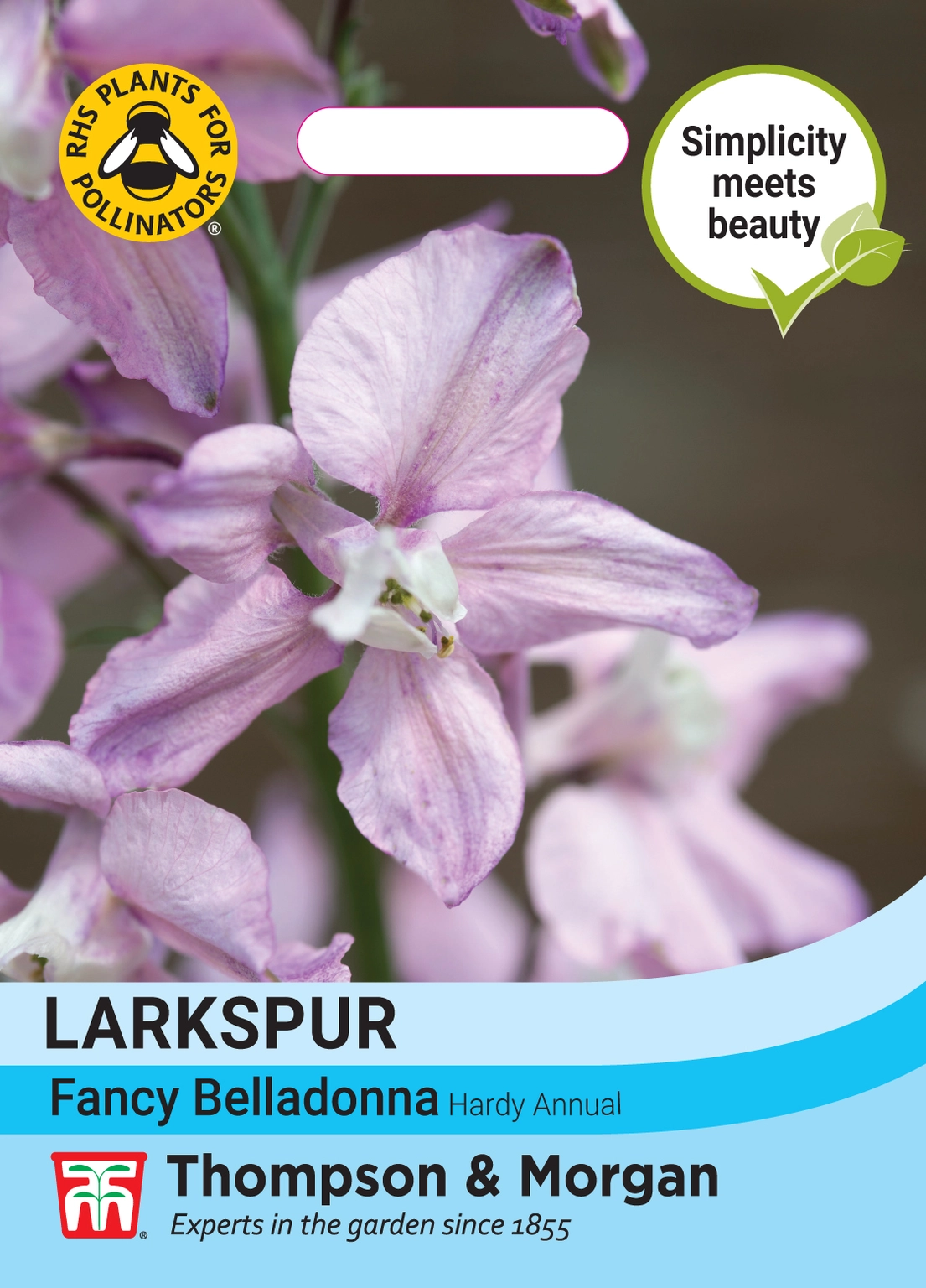 Larkspur Fancy Belladonna Seeds - Cowell's Garden Centre | Woolsington