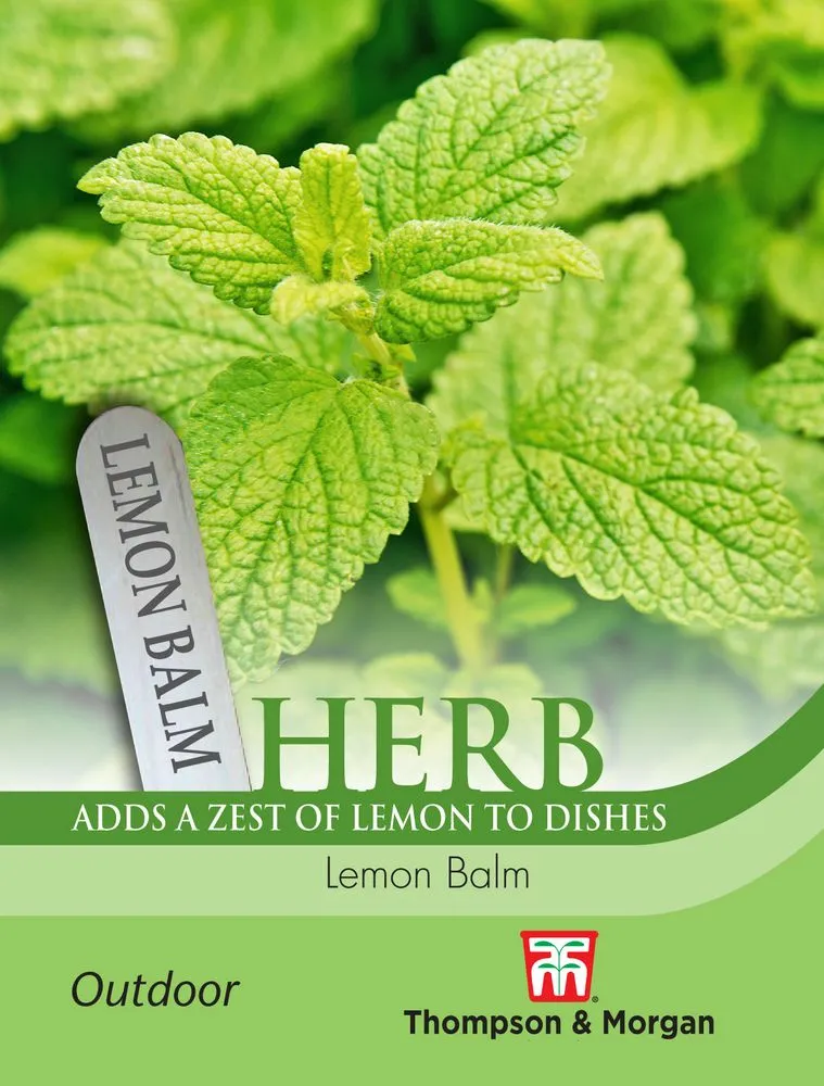 Lemon Balm - Cowell's Garden Centre | Woolsington