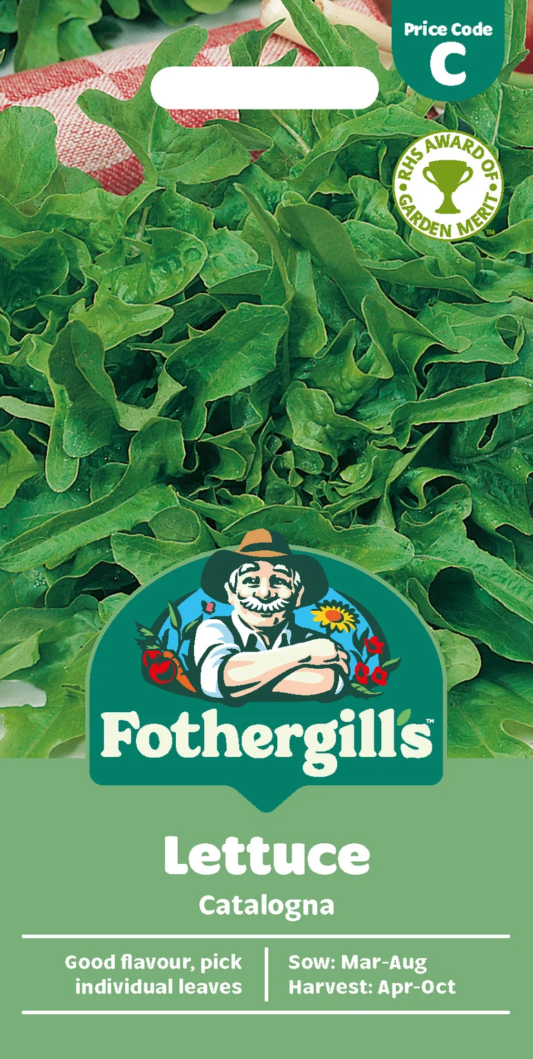 Lettuce Catalogna Seeds - Cowell's Garden Centre | Woolsington