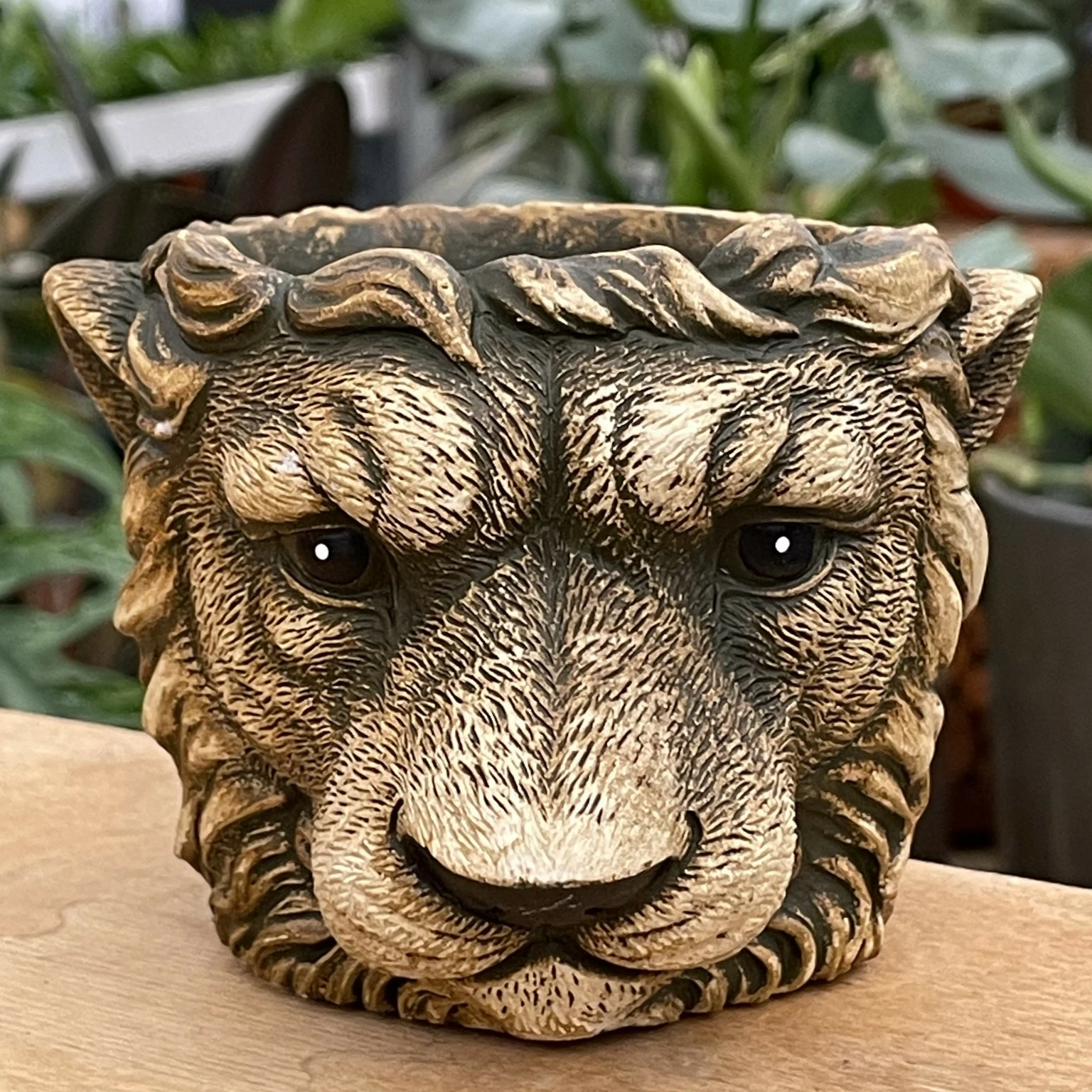 Lion Pot - ⌀ 6cm - Cowell's Garden Centre | Woolsington