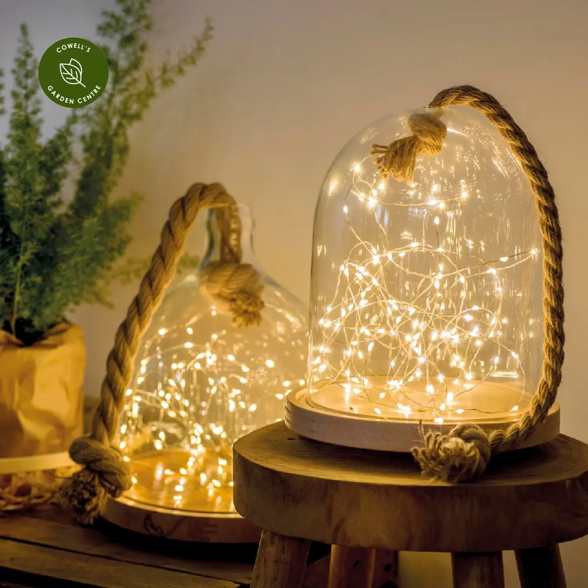 Lumineo lights store
