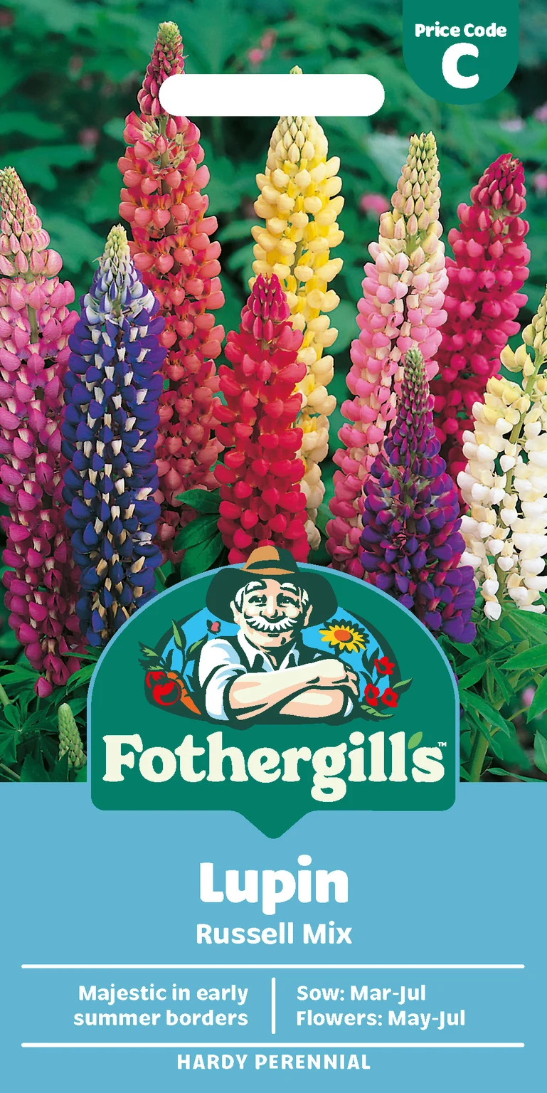 Lupin Russell Mixed Seeds - Cowell's Garden Centre | Woolsington