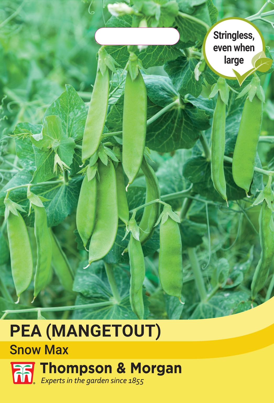 Mangetout Snow Max - Cowell's Garden Centre | Woolsington